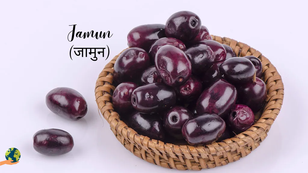 Jamun (Java Plum): जामुन ही नहीं, गुठली,पत्ते और सिरका भी औषधि की तरह ...