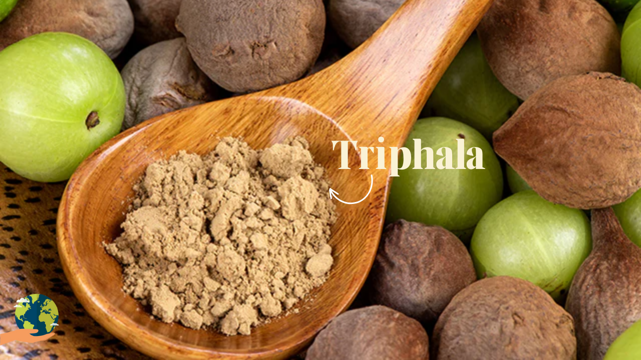 All About Triphala: त्रिफला चूर्ण के फायदे, उपयोग और नुकसान - The AARN ...